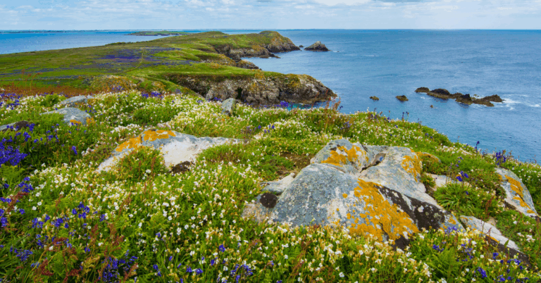 How Water Efficiency Supports ESG Goals | Tricel Water Storage